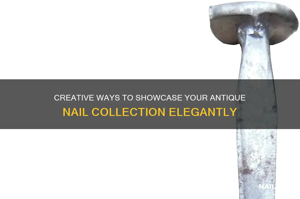 Creative Ways To Showcase Your Antique Nail Collection Elegantly | Nailicy