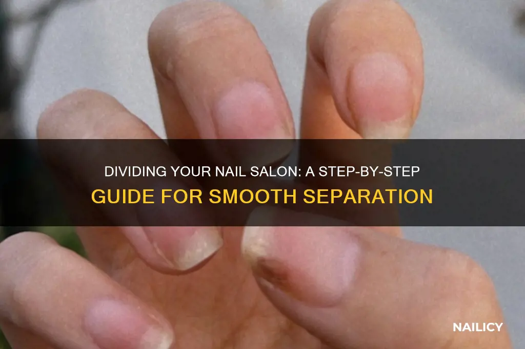 Dividing Your Nail Salon: A Step-By-Step Guide For Smooth Separation ...