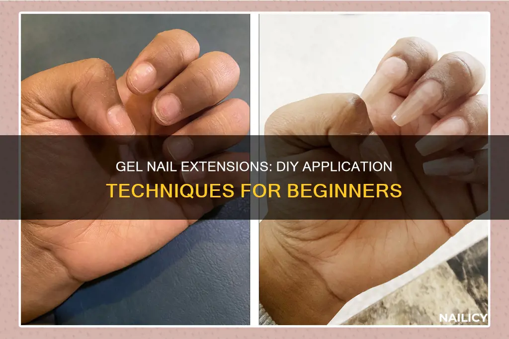 Gel Nail Extensions: Diy Application Techniques For Beginners | Nailicy