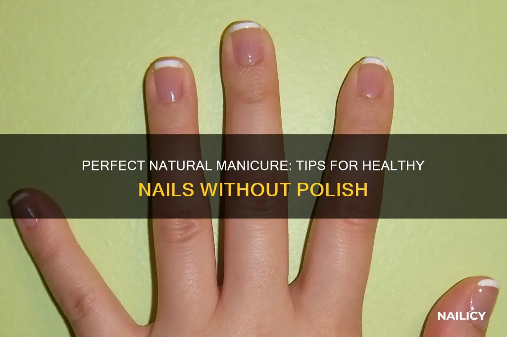 Perfect Natural Manicure: Tips For Healthy Nails Without Polish | Nailicy