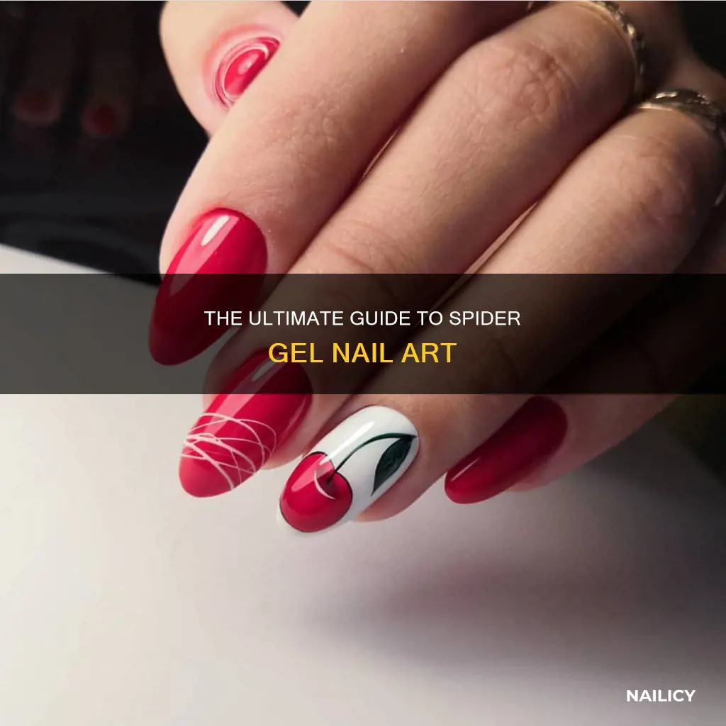 The Ultimate Guide To Spider Gel Nail Art | Nailicy