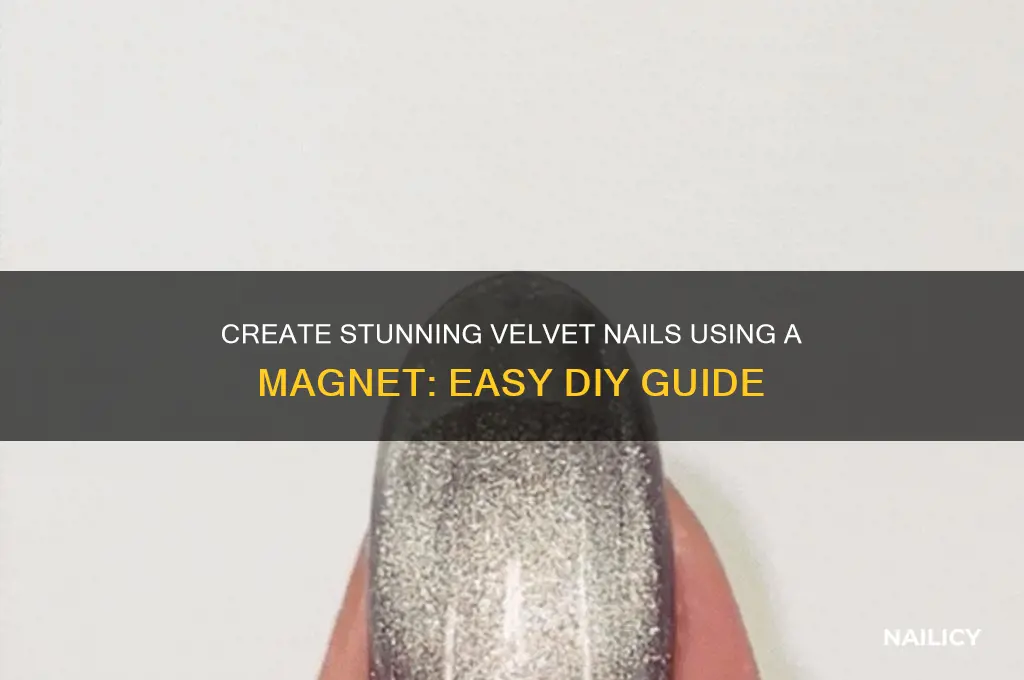Create Stunning Velvet Nails Using A Magnet: Easy Diy Guide | Nailicy