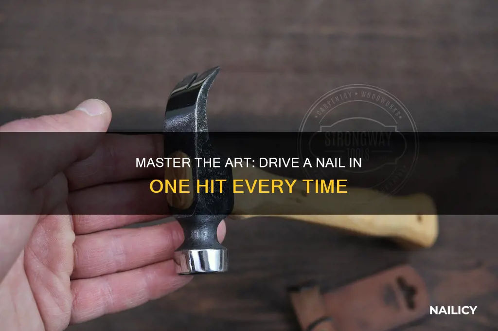 Master The Art: Drive A Nail In One Hit Every Time | Nailicy