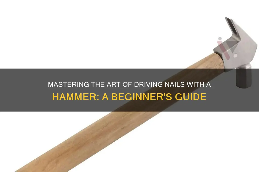 Mastering The Art Of Driving Nails With A Hammer: A Beginner's Guide ...