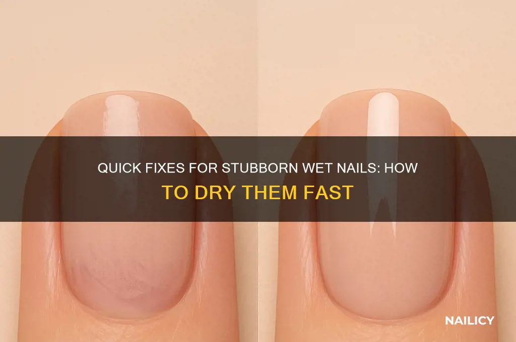 Quick Fixes For Stubborn Wet Nails: How To Dry Them Fast | Nailicy