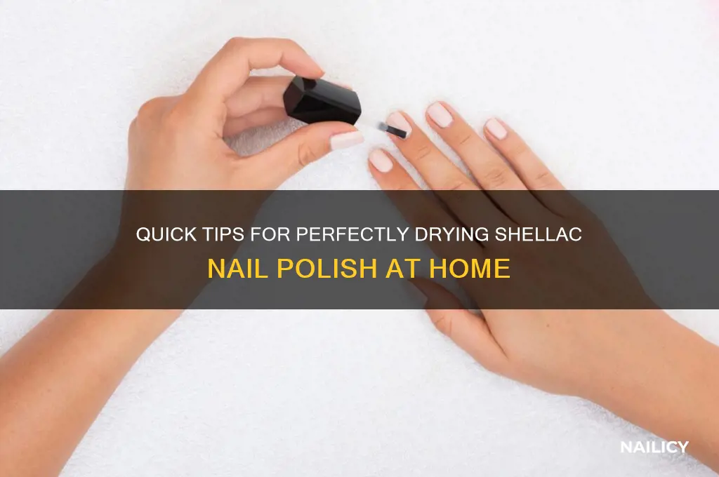 Quick Tips For Perfectly Drying Shellac Nail Polish At Home | Nailicy