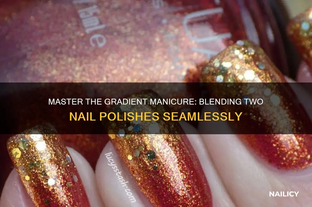 Master The Gradient Manicure: Blending Two Nail Polishes Seamlessly ...