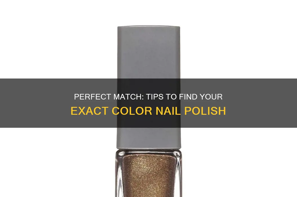 Perfect Match: Tips To Find Your Exact Color Nail Polish | Nailicy