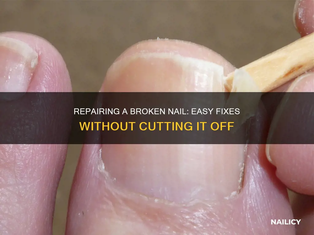 Repairing A Broken Nail: Easy Fixes Without Cutting It Off | Nailicy