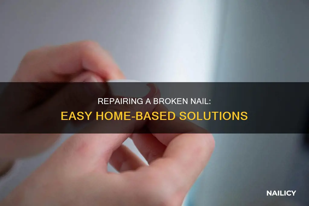Repairing A Broken Nail: Easy Home-Based Solutions | Nailicy