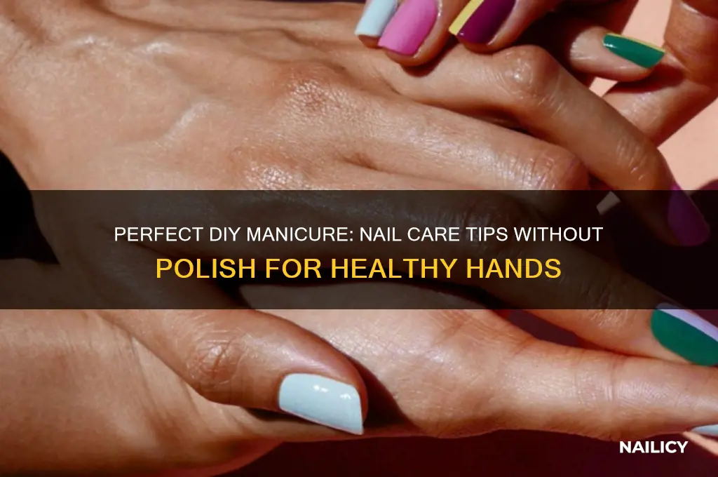 Perfect Diy Manicure: Nail Care Tips Without Polish For Healthy Hands ...