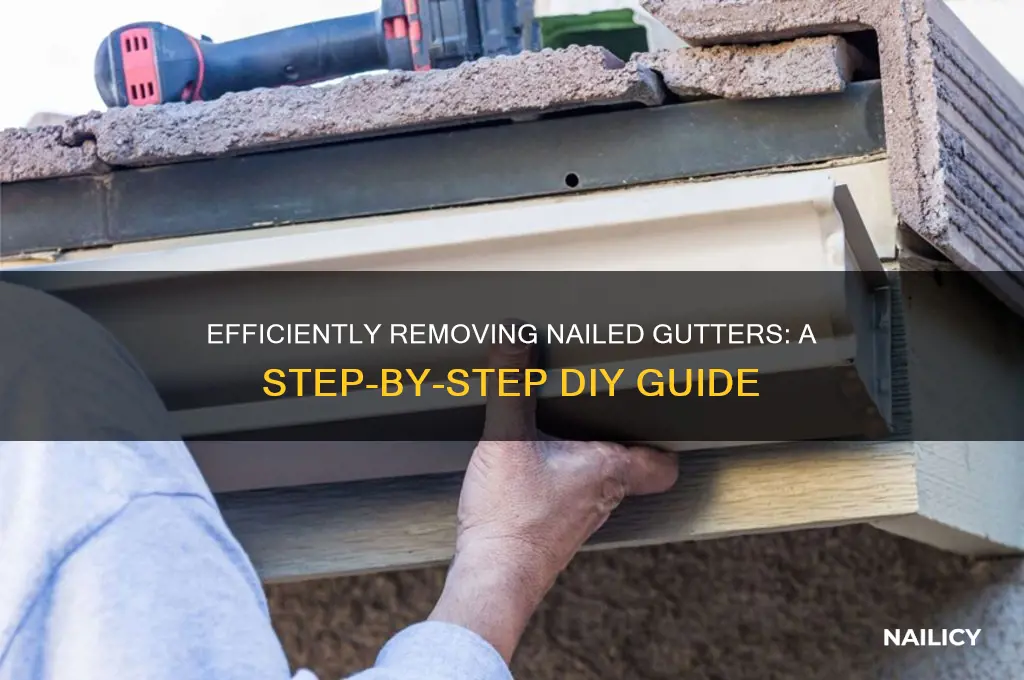 Efficiently Removing Nailed Gutters: A Step-By-Step Diy Guide | Nailicy