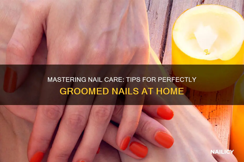 Mastering Nail Care: Tips For Perfectly Groomed Nails At Home | Nailicy