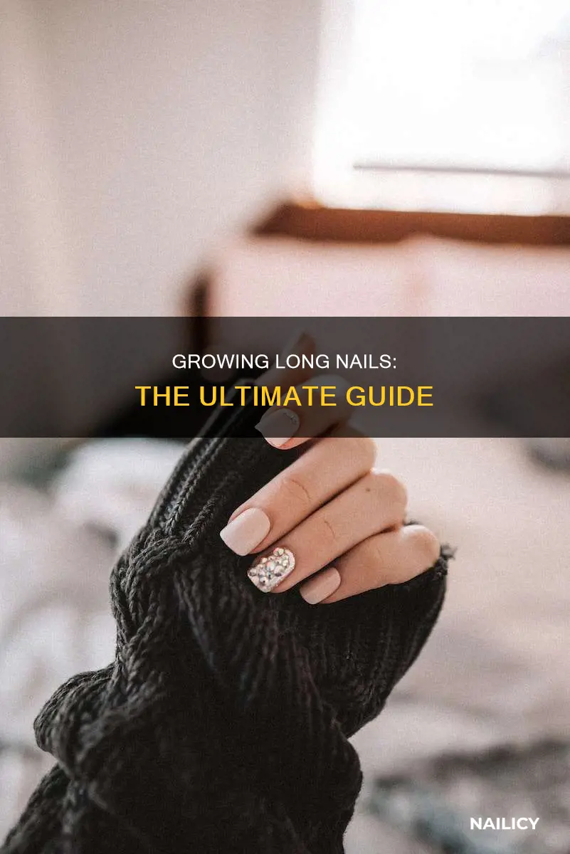 Growing Long Nails: The Ultimate Guide | Nailicy