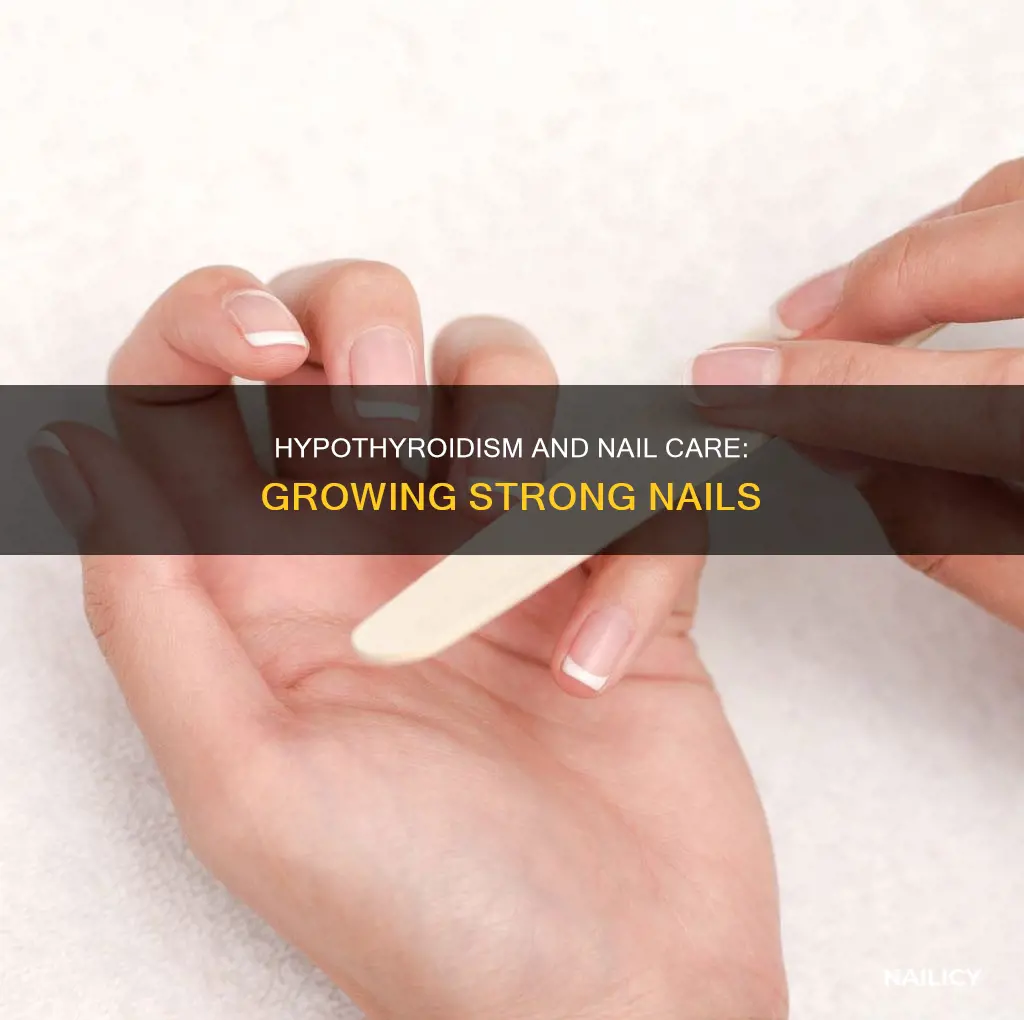 Hypothyroidism And Nail Care: Growing Strong Nails | Nailicy