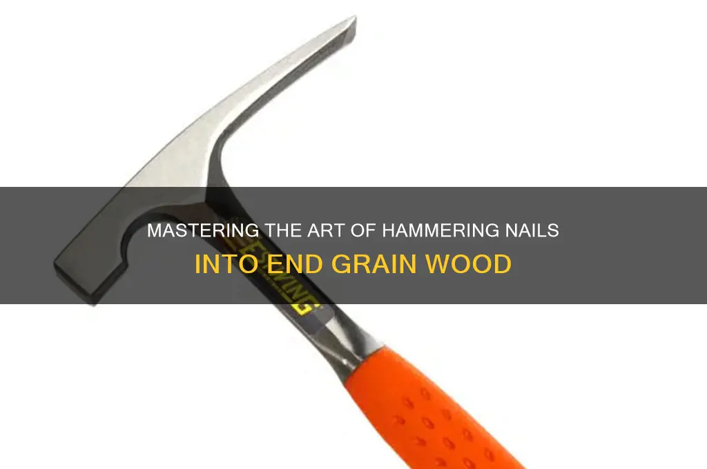 Mastering The Art Of Hammering Nails Into End Grain Wood | Nailicy