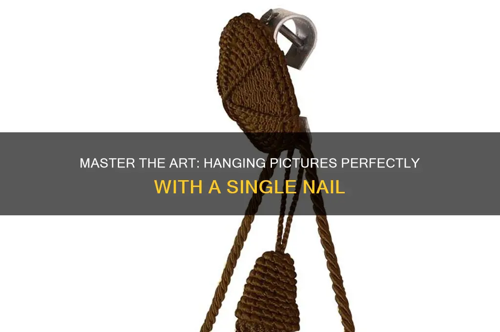 Master The Art: Hanging Pictures Perfectly With A Single Nail | Nailicy