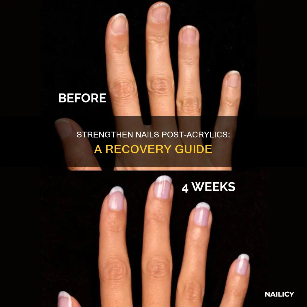 Strengthen Nails Post-Acrylics: A Recovery Guide | Nailicy