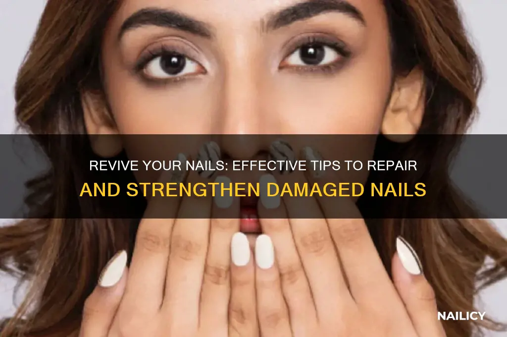 Revive Your Nails: Effective Tips To Repair And Strengthen Damaged ...
