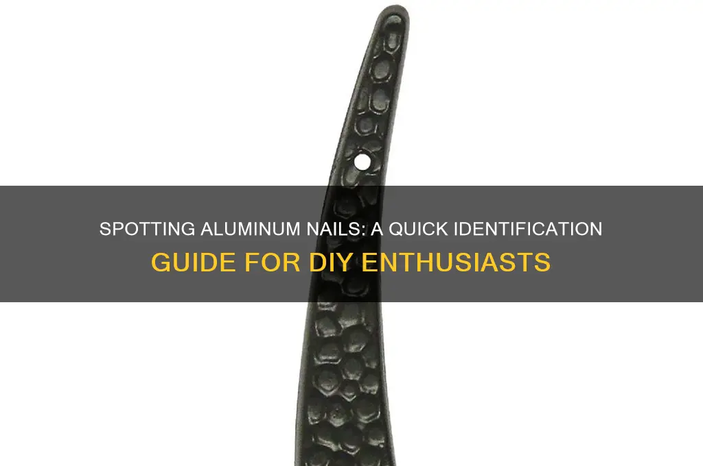 Spotting Aluminum Nails: A Quick Identification Guide For Diy ...