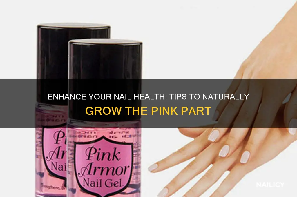 Enhance Your Nail Health: Tips To Naturally Grow The Pink Part | Nailicy