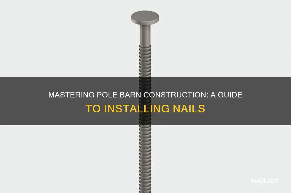 Mastering Pole Barn Construction: A Guide To Installing Nails | Nailicy