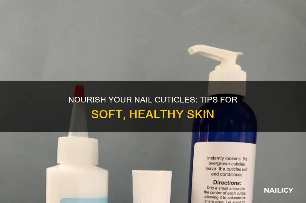 Nourish Your Nail Cuticles: Tips For Soft, Healthy Skin | Nailicy