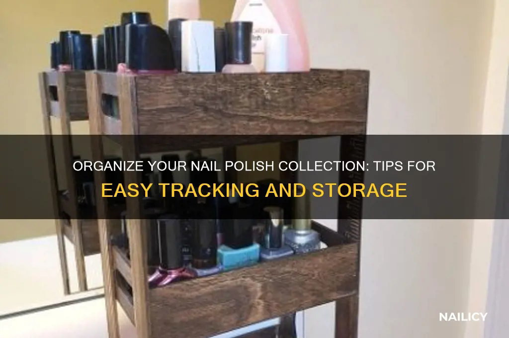 Organize Your Nail Polish Collection: Tips For Easy Tracking And ...