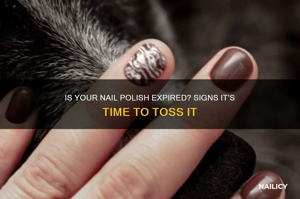 Is Your Nail Polish Expired? Signs It’S Time To Toss It | Nailicy