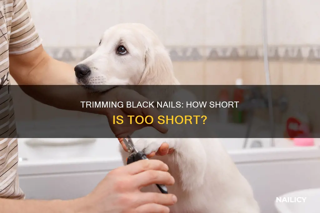 Trimming Black Nails: How Short Is Too Short? | Nailicy