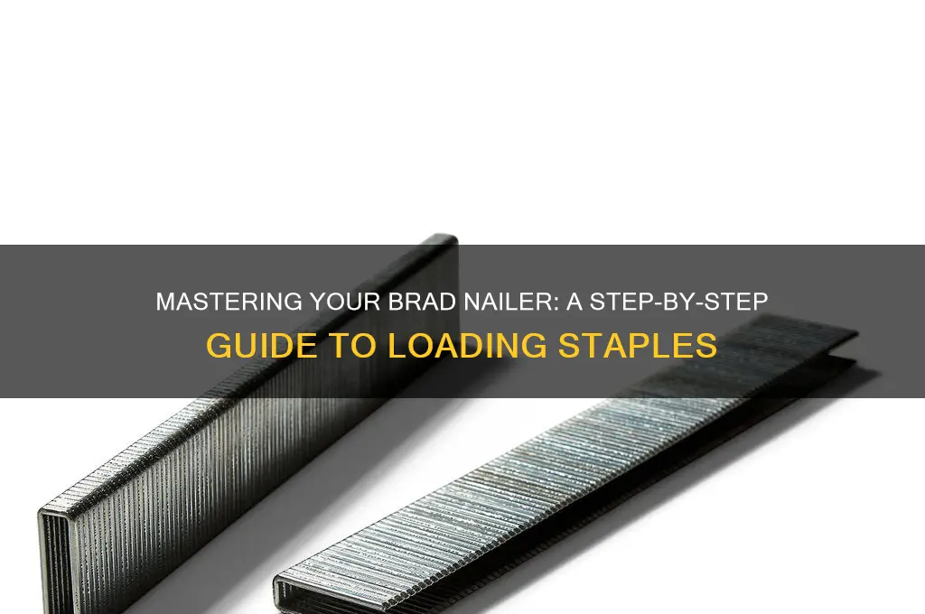 Mastering Your Brad Nailer: A Step-By-Step Guide To Loading Staples ...