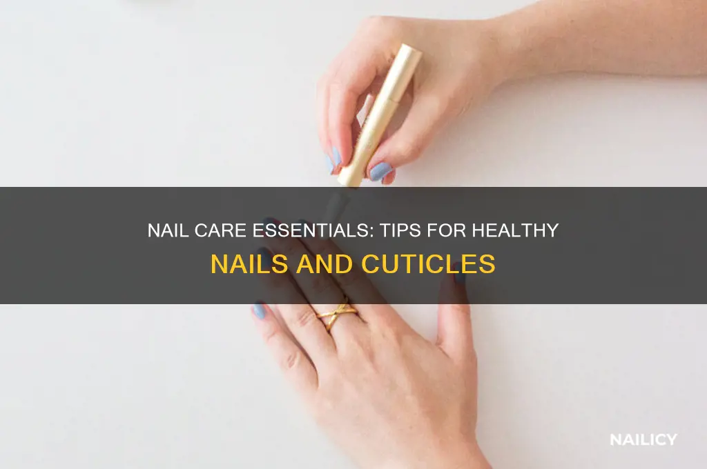 Nail Care Essentials: Tips For Healthy Nails And Cuticles | Nailicy