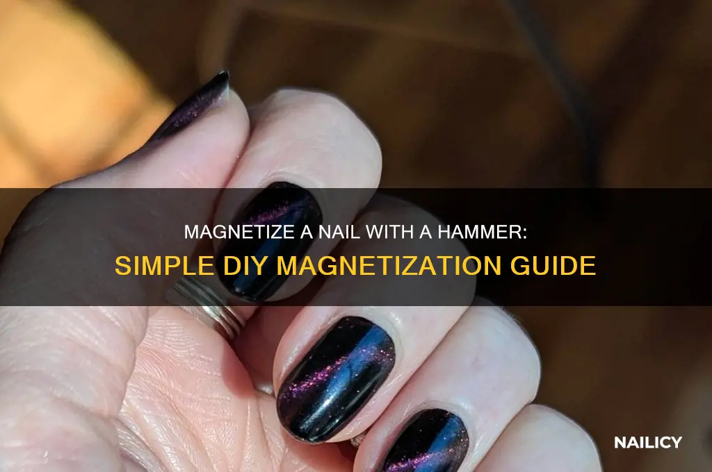 Magnetize A Nail With A Hammer: Simple Diy Magnetization Guide | Nailicy
