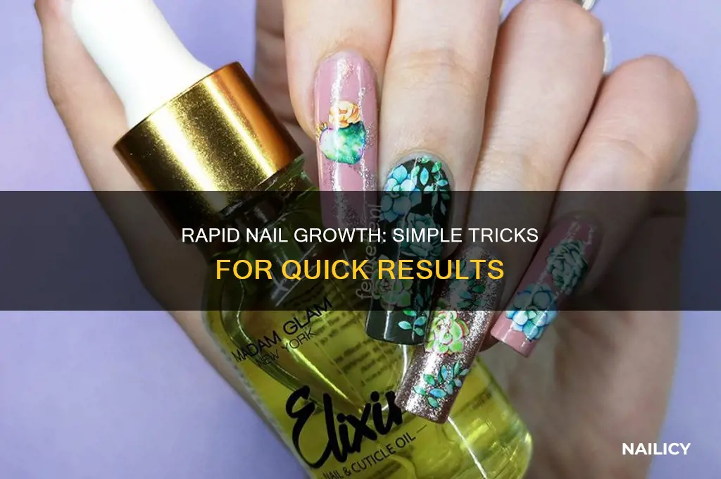 Rapid Nail Growth: Simple Tricks For Quick Results | Nailicy