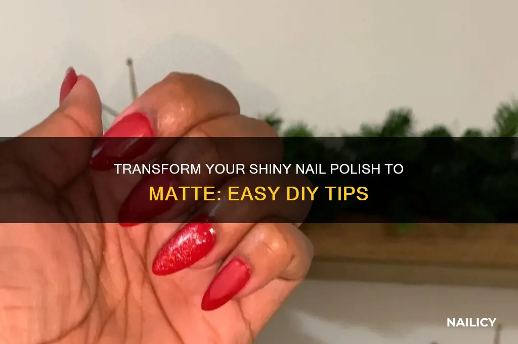 Transform Your Shiny Nail Polish To Matte: Easy Diy Tips | Nailicy