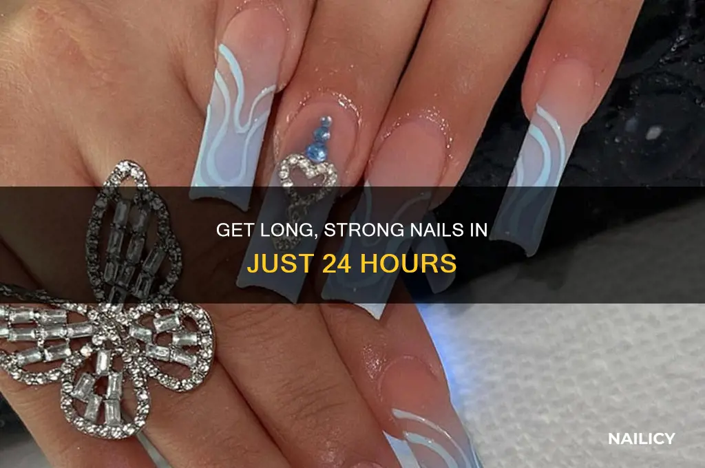 Get Long, Strong Nails In Just 24 Hours | Nailicy