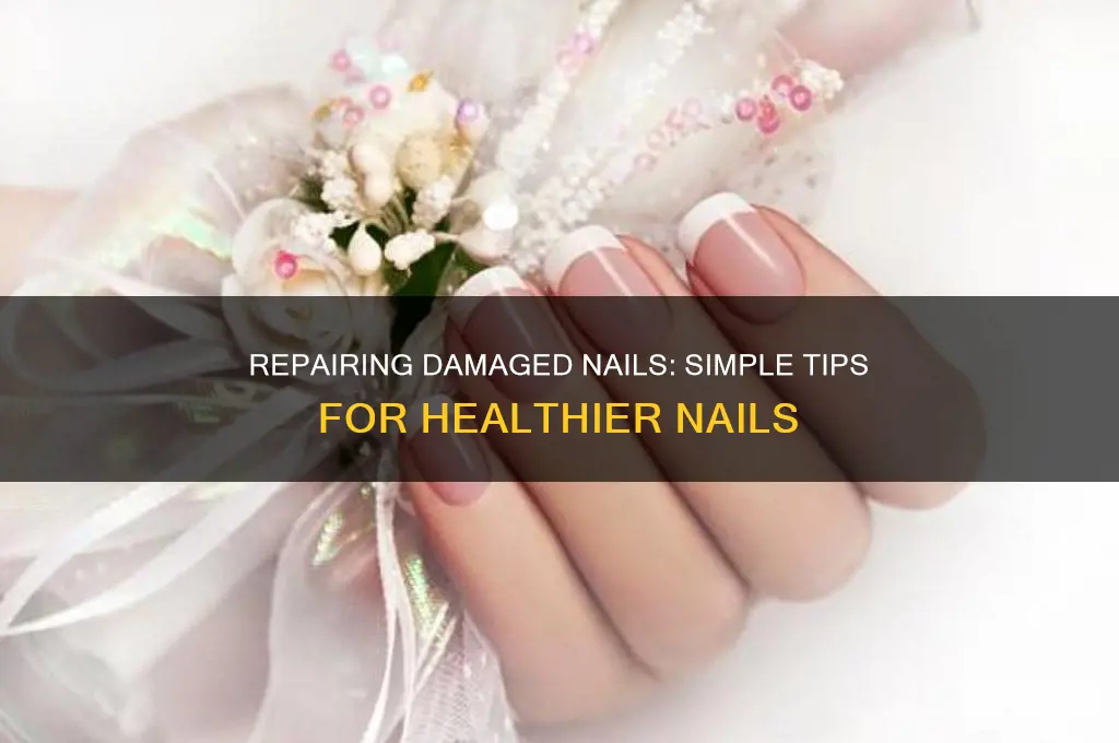 Repairing Damaged Nails: Simple Tips For Healthier Nails | Nailicy