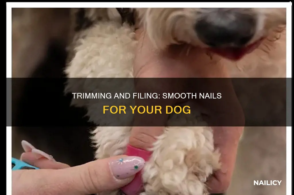 Trimming And Filing: Smooth Nails For Your Dog | Nailicy