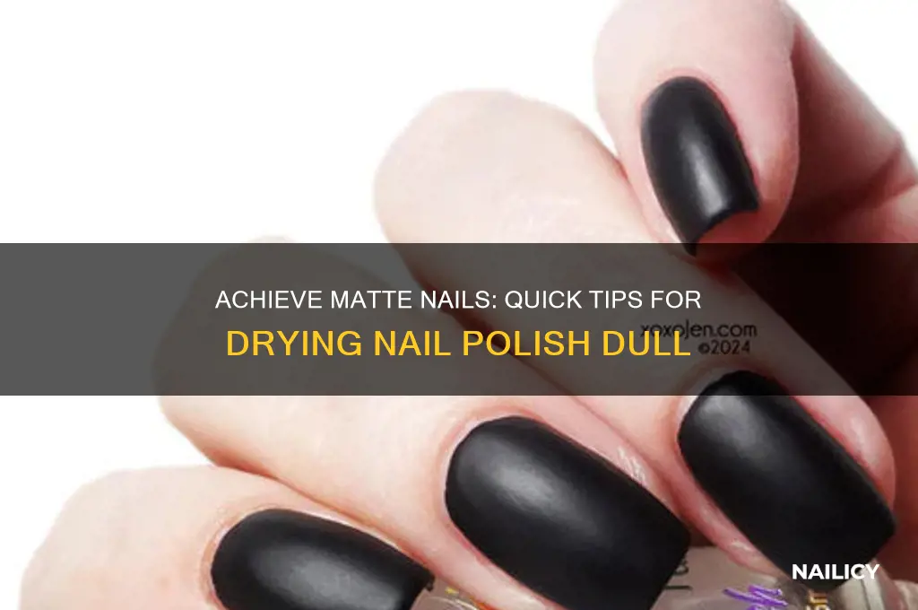 Achieve Matte Nails: Quick Tips For Drying Nail Polish Dull | Nailicy