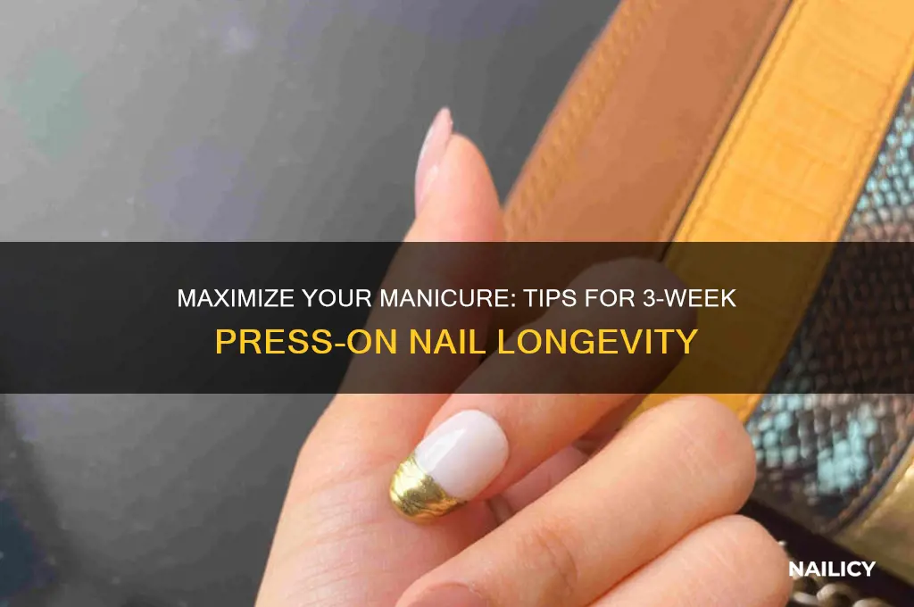 Maximize Your Manicure: Tips For 3-Week Press-On Nail Longevity | Nailicy