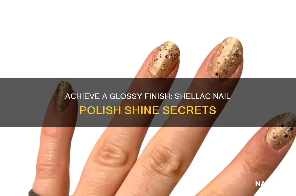 Achieve A Glossy Finish: Shellac Nail Polish Shine Secrets | Nailicy