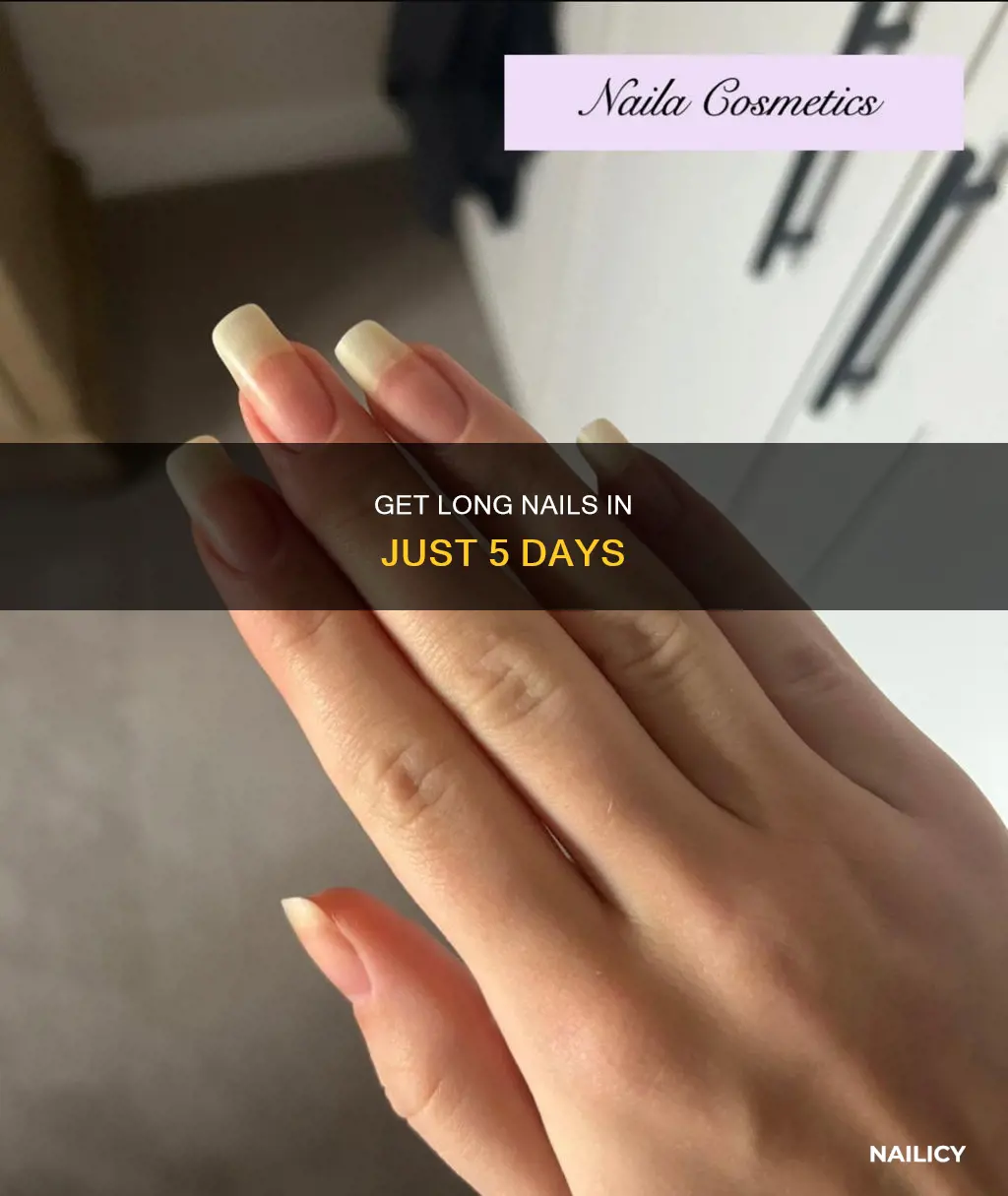 Get Long Nails In Just 5 Days | Nailicy