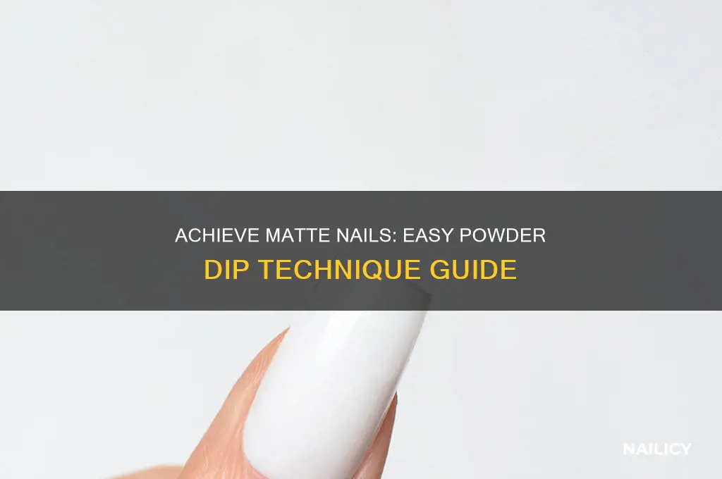 Achieve Matte Nails: Easy Powder Dip Technique Guide | Nailicy