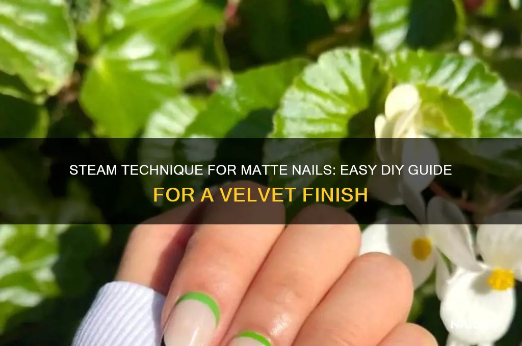 Steam Technique For Matte Nails: Easy Diy Guide For A Velvet Finish ...