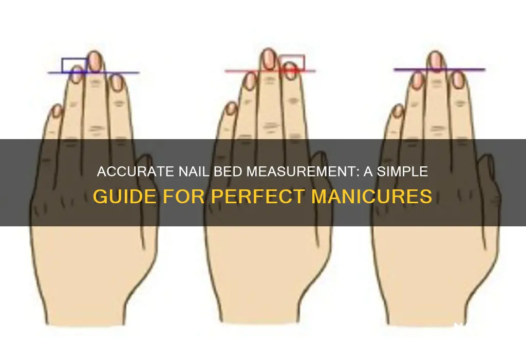 Accurate Nail Bed Measurement: A Simple Guide For Perfect Manicures ...