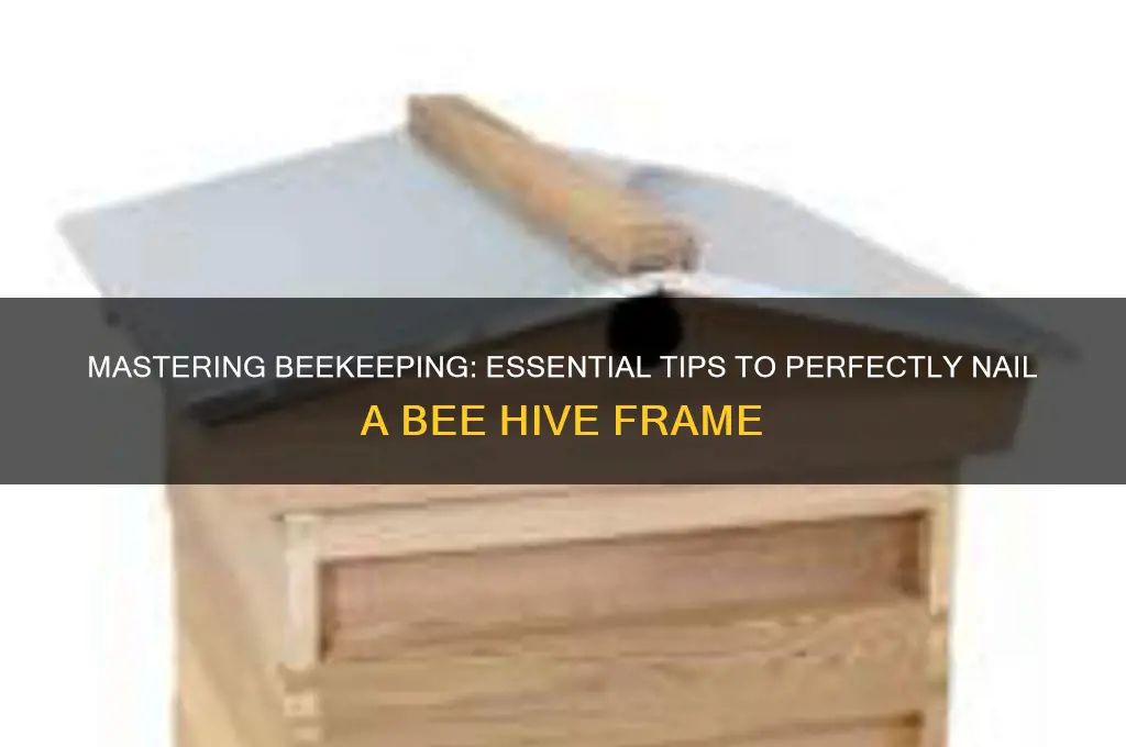 Mastering Beekeeping: Essential Tips To Perfectly Nail A Bee Hive Frame ...