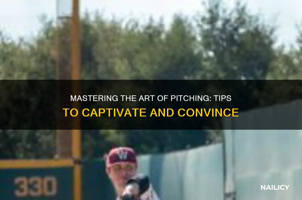 Mastering The Art Of Pitching: Tips To Captivate And Convince | Nailicy