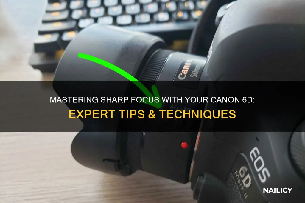 Mastering Sharp Focus With Your Canon 6D: Expert Tips & Techniques ...