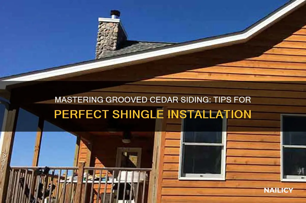 Mastering Grooved Cedar Siding: Tips For Perfect Shingle Installation ...