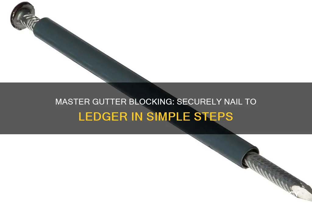 Master Gutter Blocking: Securely Nail To Ledger In Simple Steps | Nailicy